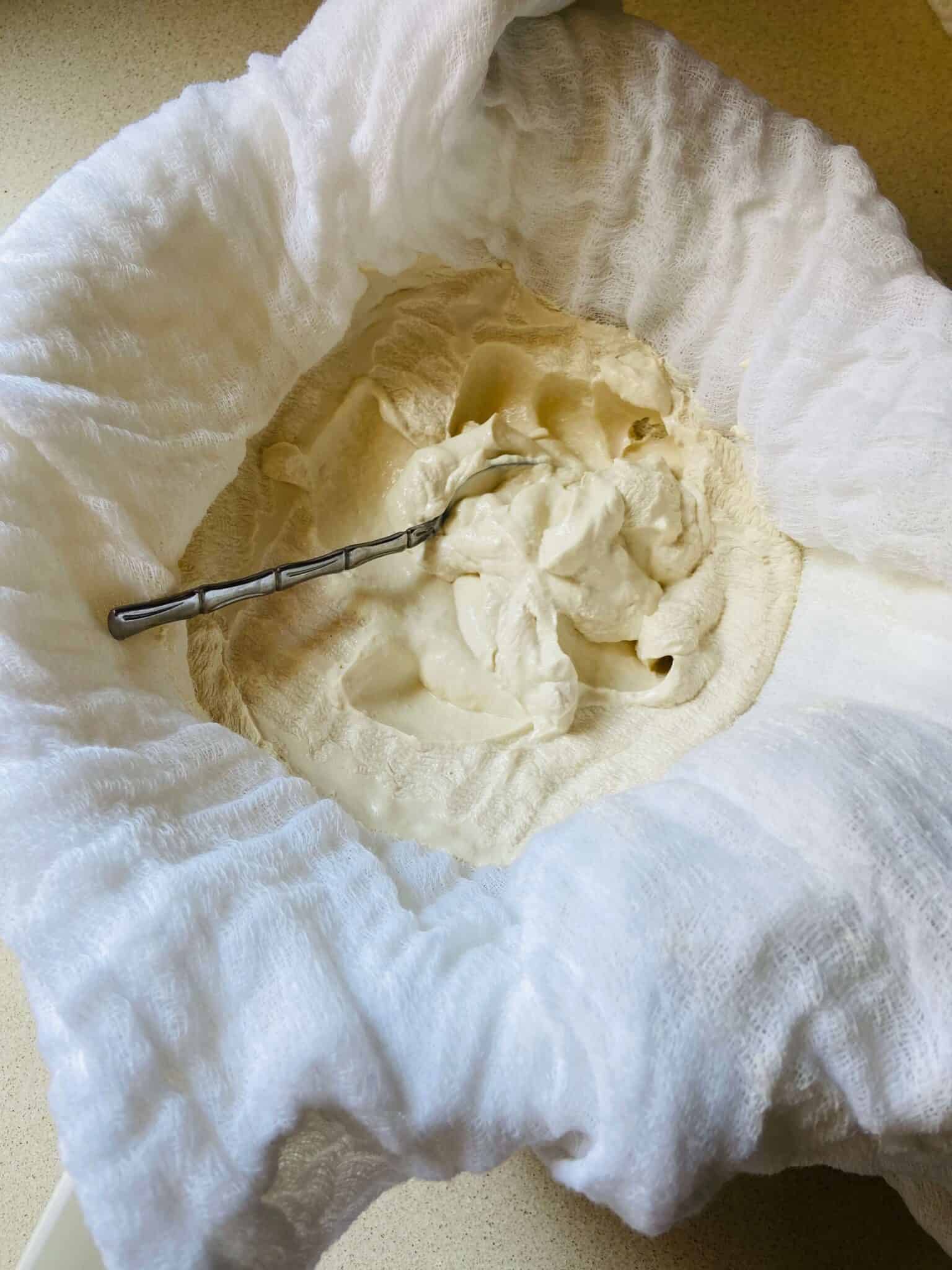 Homemade Soy Greek Yogurt | Vegan Greek Yogurt - Yum Vegan Blog