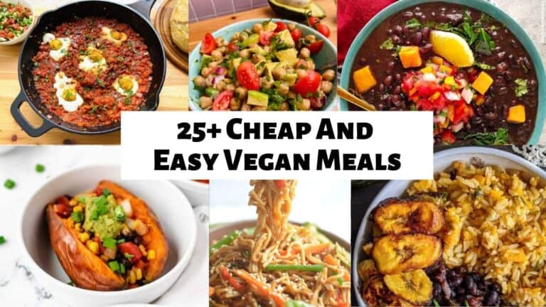 25+ Cheap Vegan Recipes - Plant Based | Yum Vegan Blog